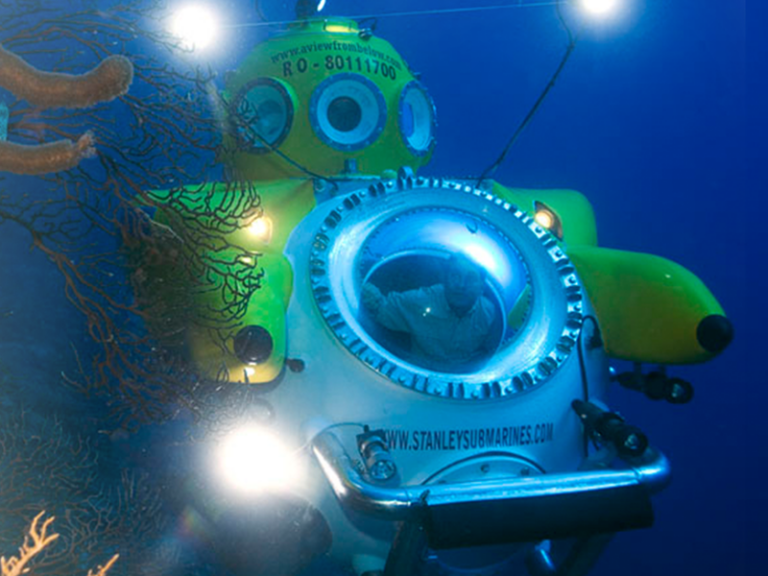 Submarine | Roatan Institute of Deepsea Exploration